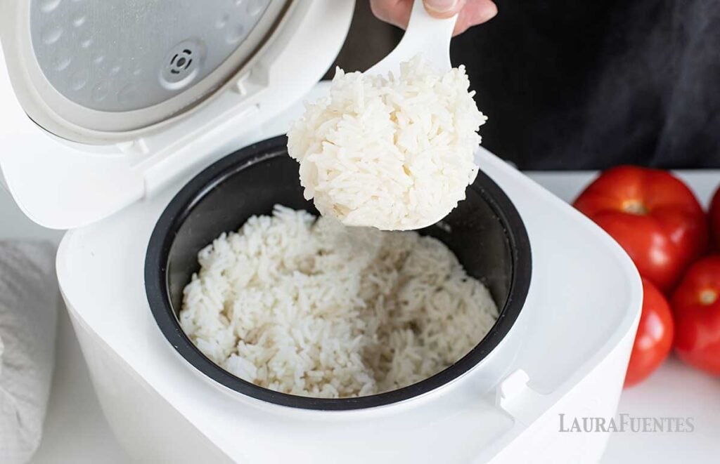 Krups Rice Cooker Rice Water Ratio at Noah Weber blog