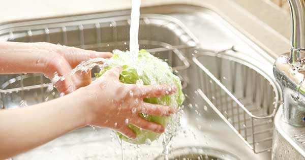 How to Wash Lettuce to Make it Last! | Laura Fuentes