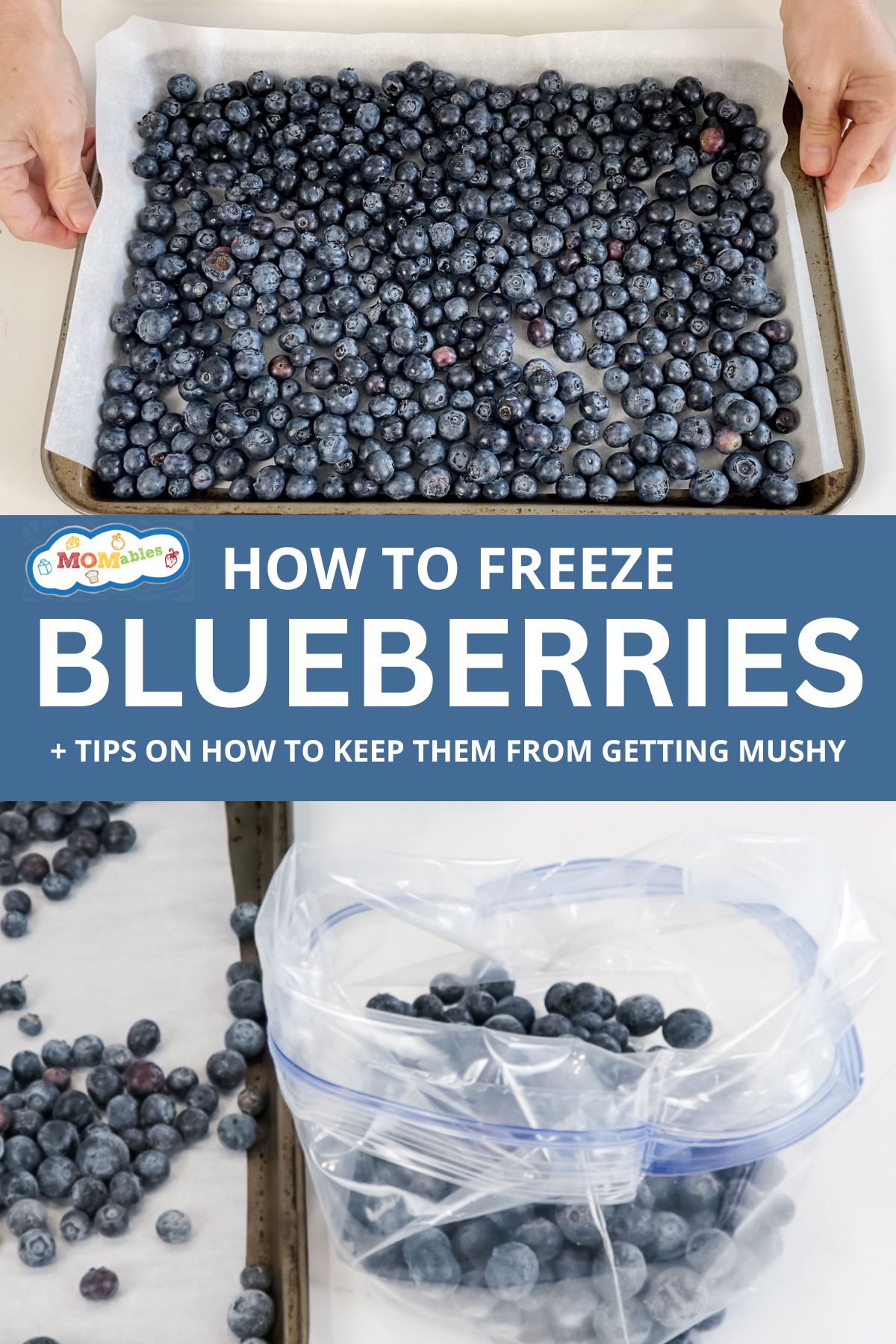 How to Freeze Blueberries - Like Grandma! | Laura Fuentes