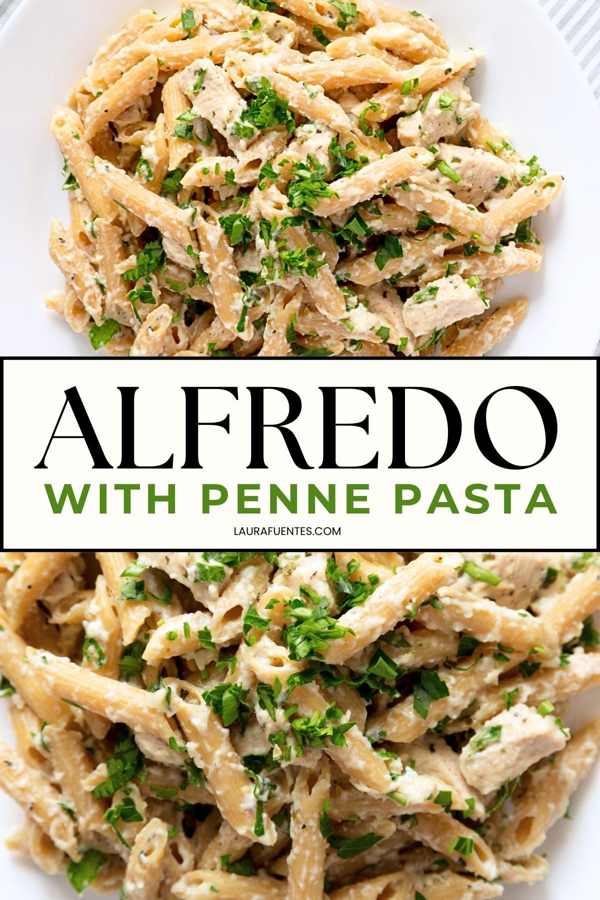 Alfredo with Penne Pasta {Easy Homemade Recipe}