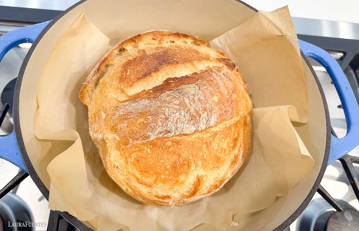 No Knead Dutch Oven Bread For Beginners | Laura Fuentes